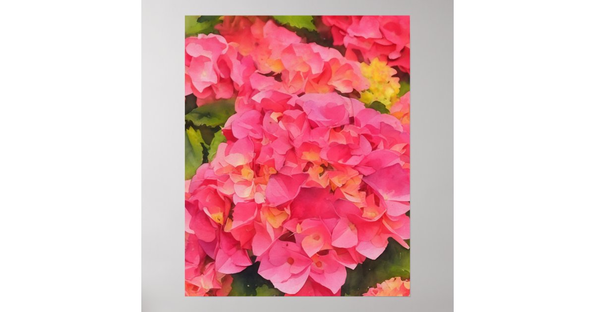 Pink Hydrangea Flowers Floral Watercolor Style Art Poster | Zazzle