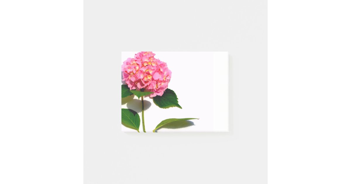 Pink Hydrangea pink floral pink flower Post-it Notes | Zazzle