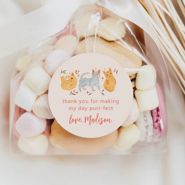 Pink Kitty Cat Birthday Party Favor Classic Round Sticker | Zazzle