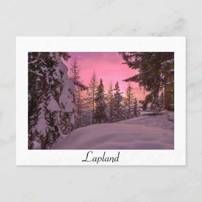 Pink Lapland sunset white text postcard | Zazzle.com