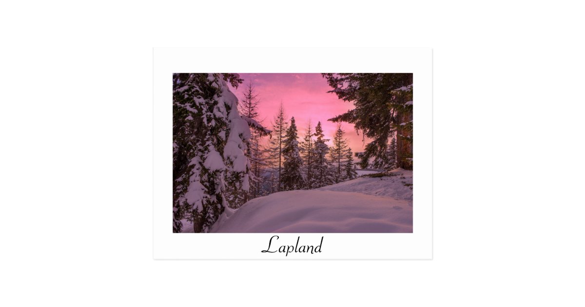 Pink Lapland sunset white text postcard | Zazzle.com