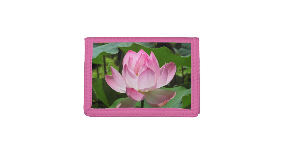 Pink Lotus Bloom Trifold Wallet | Zazzle