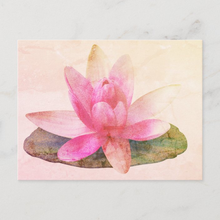 PINK LOTUS POSTCARD | Zazzle.com