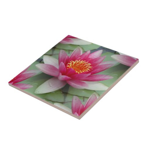 Pink Lotus Water Lily Ceramic Tile | Zazzle