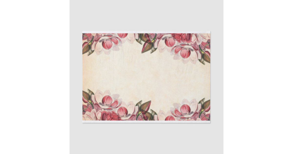 Pink Magnolia Flower Border Parchment Decoupage Tissue Paper | Zazzle