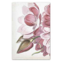 Pink Magnolia Flower Botanical Robin Bird Craft Tissue Paper | Zazzle