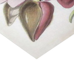 Pink Magnolia Flower Botanical Robin Bird Craft Tissue Paper | Zazzle