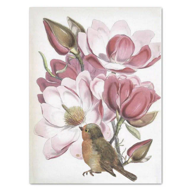 Pink Magnolia Flower Botanical Robin Bird Craft Tissue Paper | Zazzle