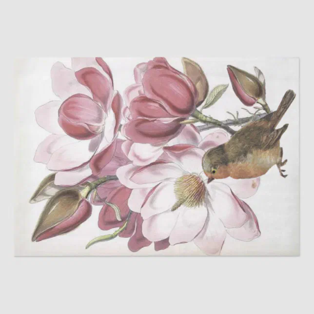 Pink Magnolia Flower Botanical Robin Bird Craft Tissue Paper | Zazzle