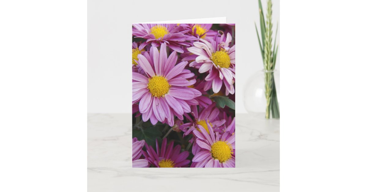 Pink Mums Card | Zazzle