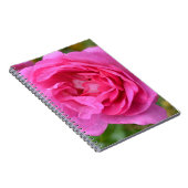 Pink November Rose Notebook | Zazzle