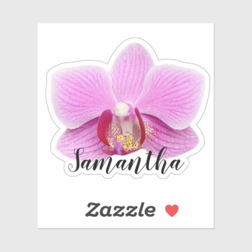 Pink Orchid Name Sticker | Zazzle