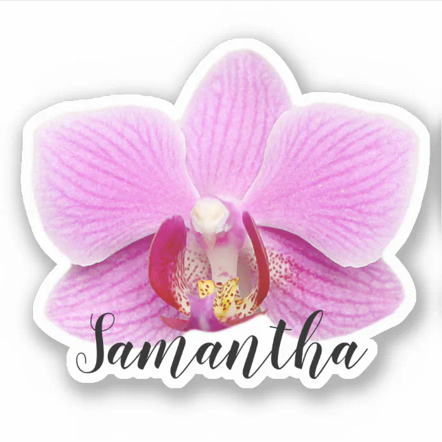 Pink Orchid Name Sticker | Zazzle