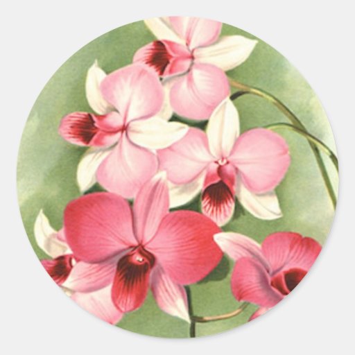 10,000+ Orchid Stickers and Orchid Sticker Designs | Zazzle