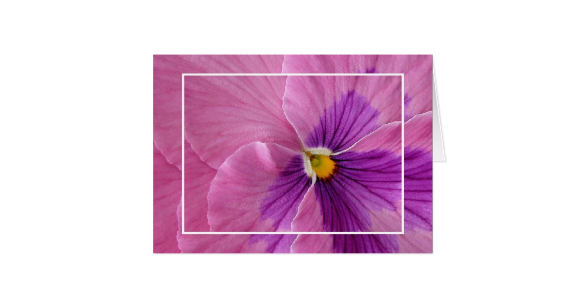 Pink Pansie Card | Zazzle