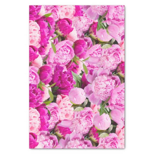 Pink Peonies Pattern Tissue Paper | Zazzle