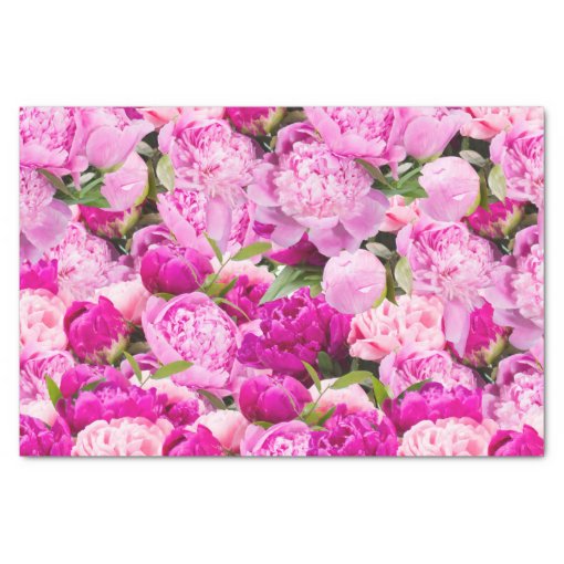 Pink Peonies Pattern Tissue Paper | Zazzle