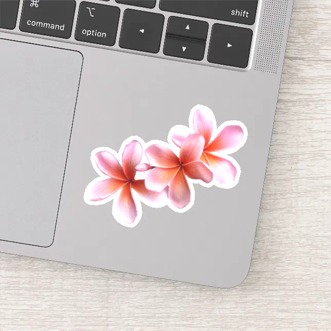 Pink Plumeria Real Floral Hawaiian Flowers Sticker | Zazzle
