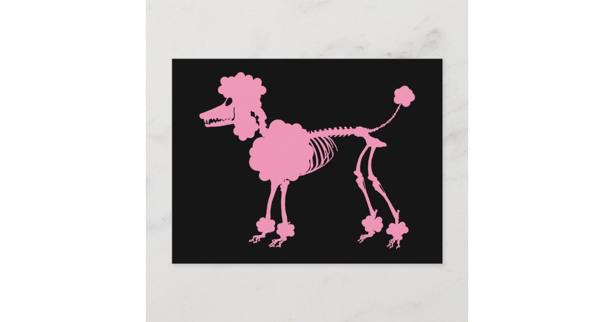 Pink Poodle Skeleton Postcard | Zazzle