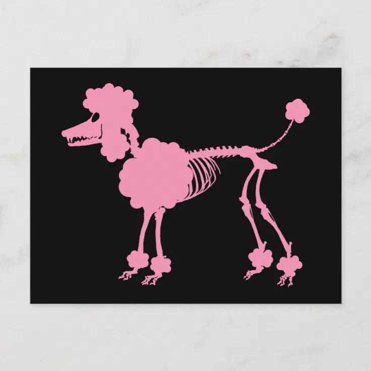 Pink Poodle Skeleton Postcard | Zazzle