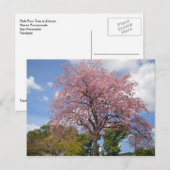 Pink Poui Tree on Harris Promenade San Fernando Postcard | Zazzle