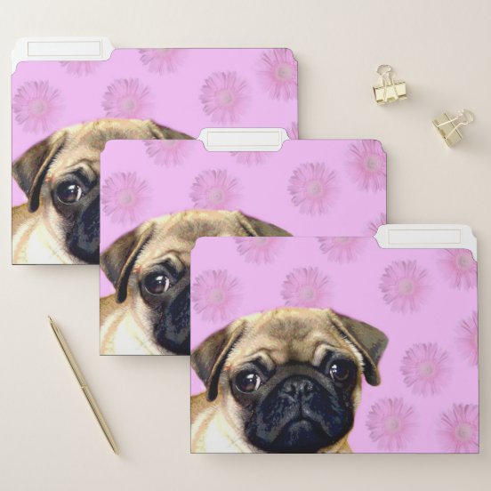 Dog Binders & Folders | Zazzle