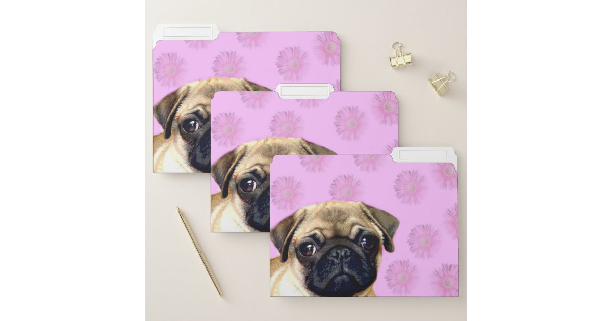 Pink pug dog set of file folders | Zazzle