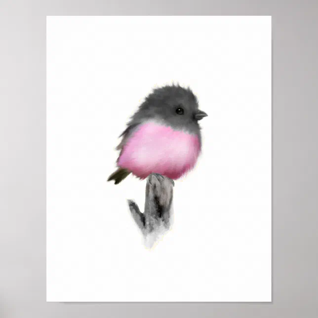 Pink Robin Poster Print | Zazzle