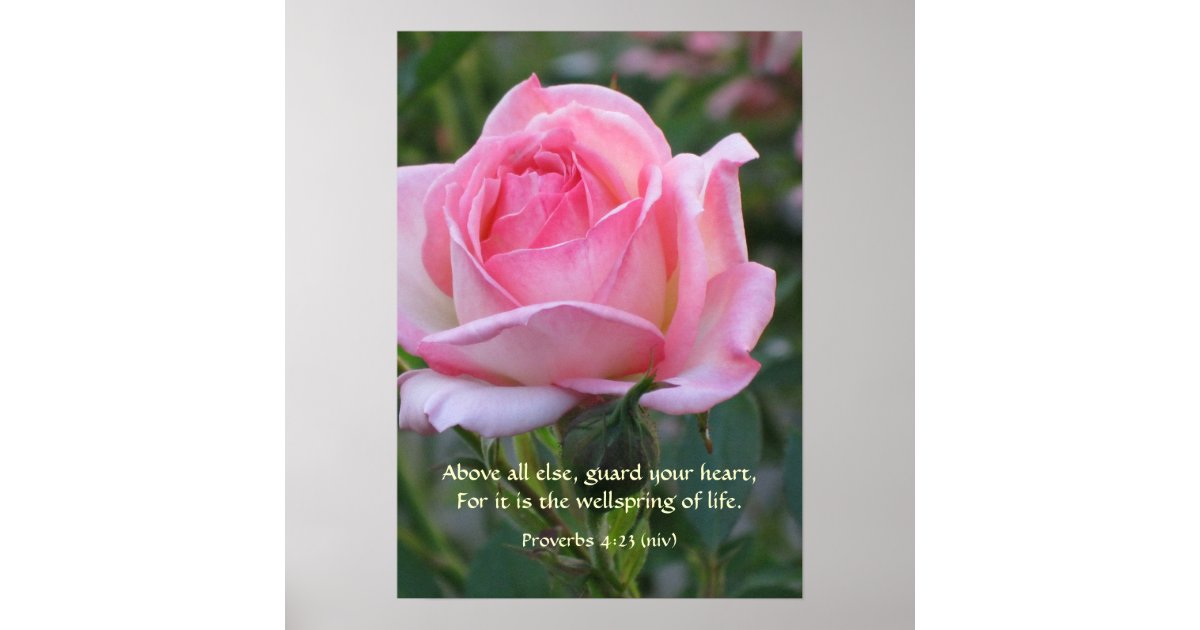 Pink Rose Bud ~ Proverbs 4:23 Poster | Zazzle