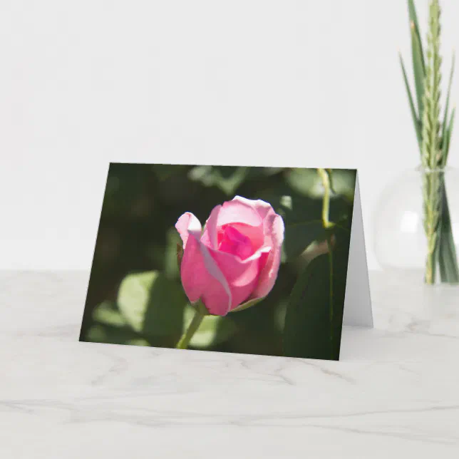 Pink Rose Bud Sympathy Card | Zazzle