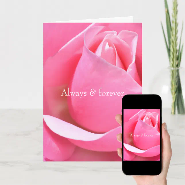 Pink Rose Card | Zazzle