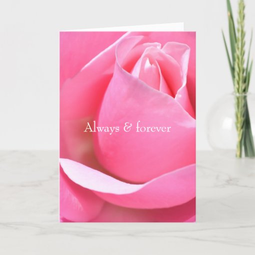 Pink Rose Card | Zazzle