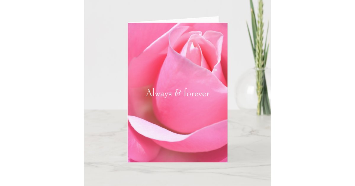Pink Rose Card | Zazzle