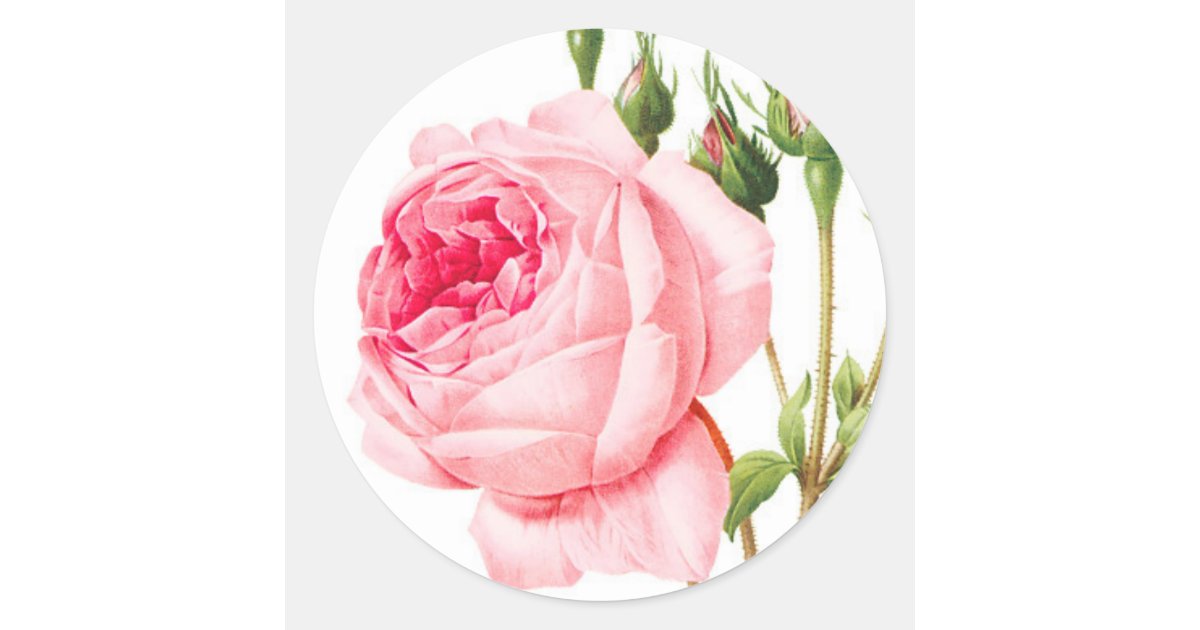 Pink Rose Envelope Stickers | Zazzle