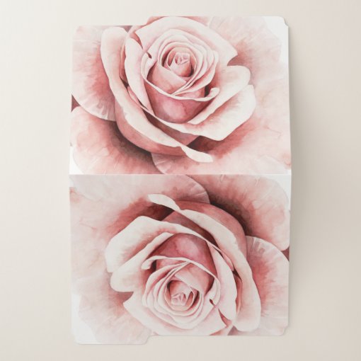 Pink Rose File Folder | Zazzle
