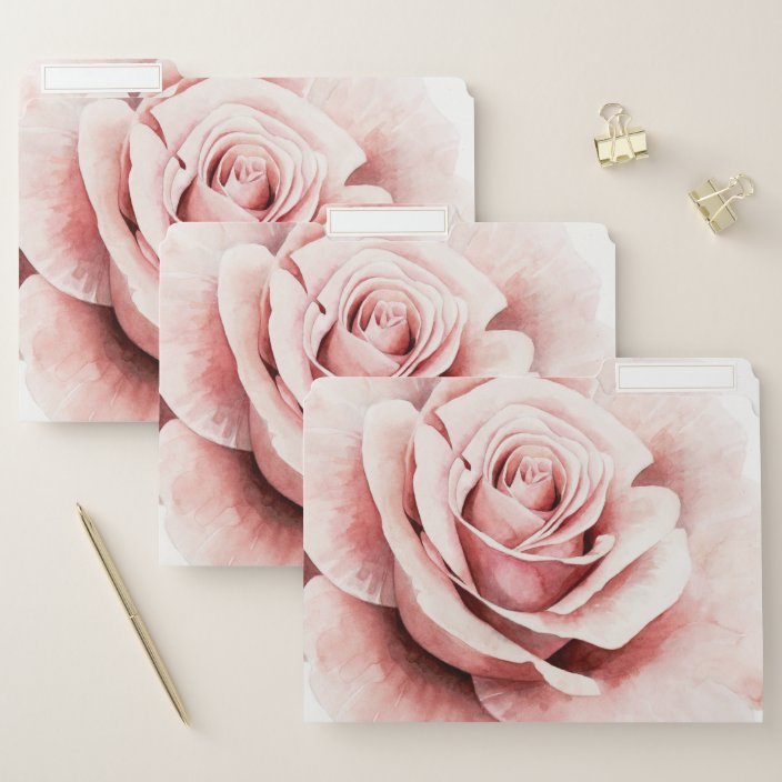 Pink Rose File Folder | Zazzle.com