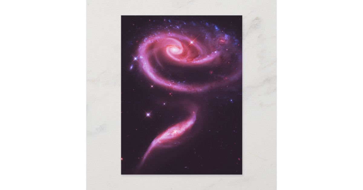 Pink Rose Galaxies Postcard | Zazzle