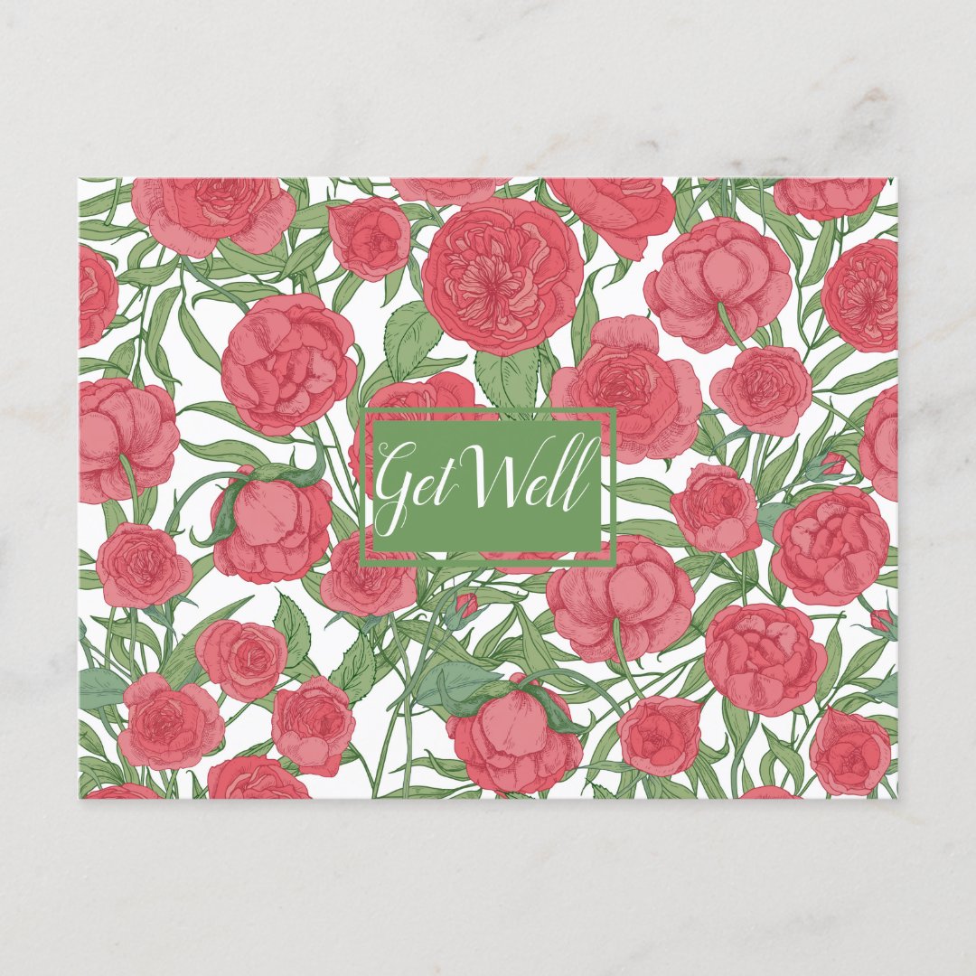 Pink Rose Get Well Postcard | Zazzle
