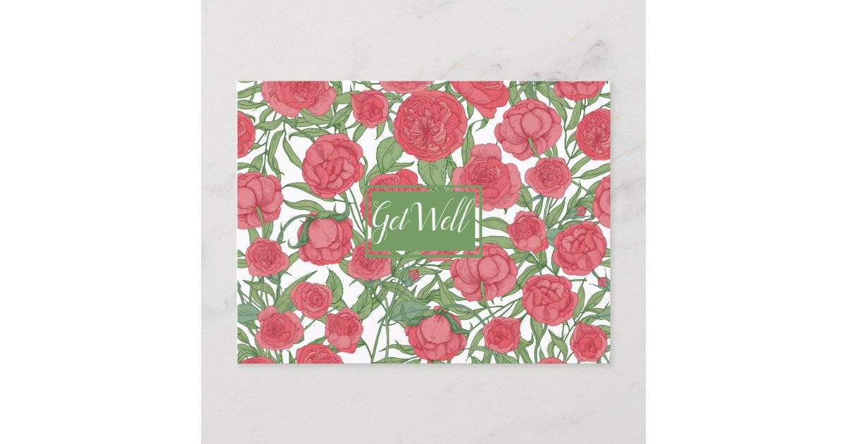 Pink Rose Get Well Postcard | Zazzle