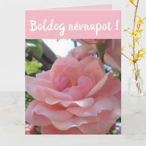 Pink rose in the garden - Hungarian name day Card | Zazzle