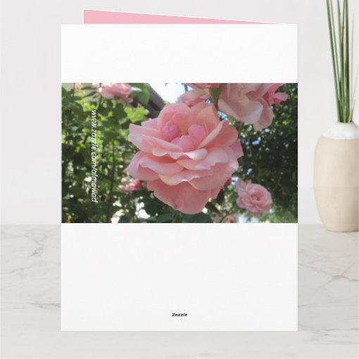 Pink rose in the garden - Hungarian name day Card | Zazzle