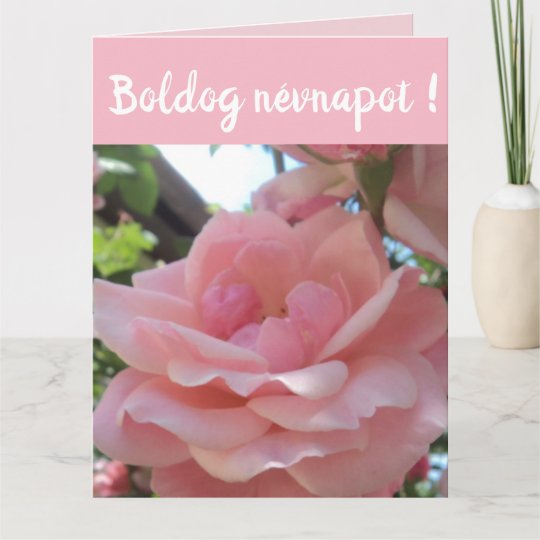 Pink rose in the garden - Hungarian name day Card | Zazzle.com