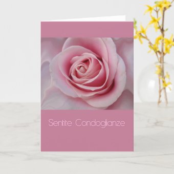 pink rose Italian sympathy card | Zazzle