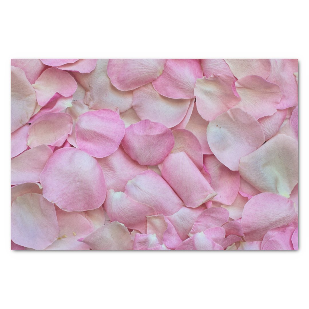 Pink Rose Petals Tissue Paper | Zazzle