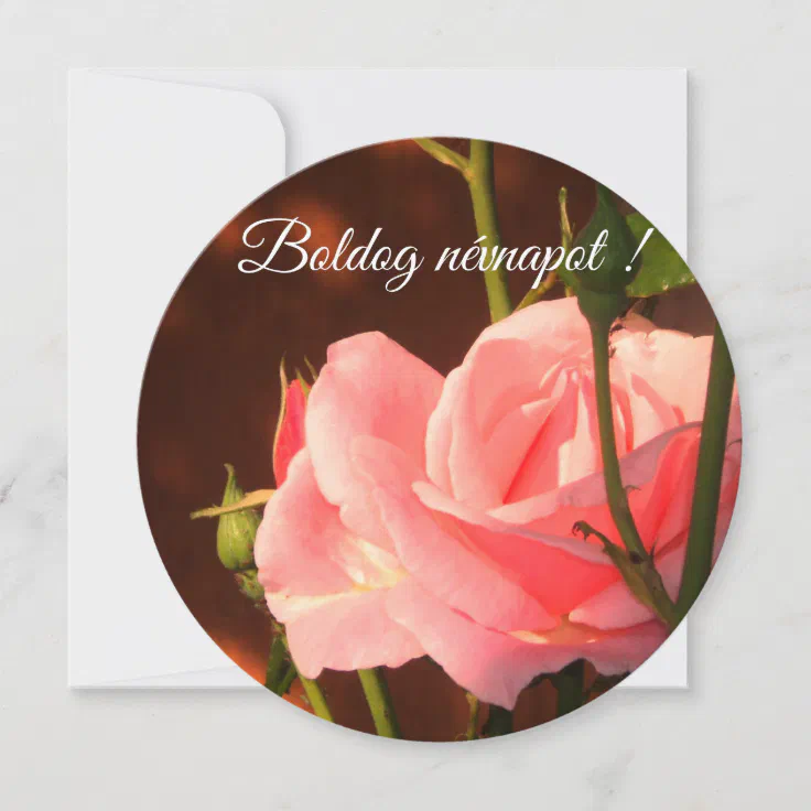Pink rose photo - Hungarian name day Card | Zazzle