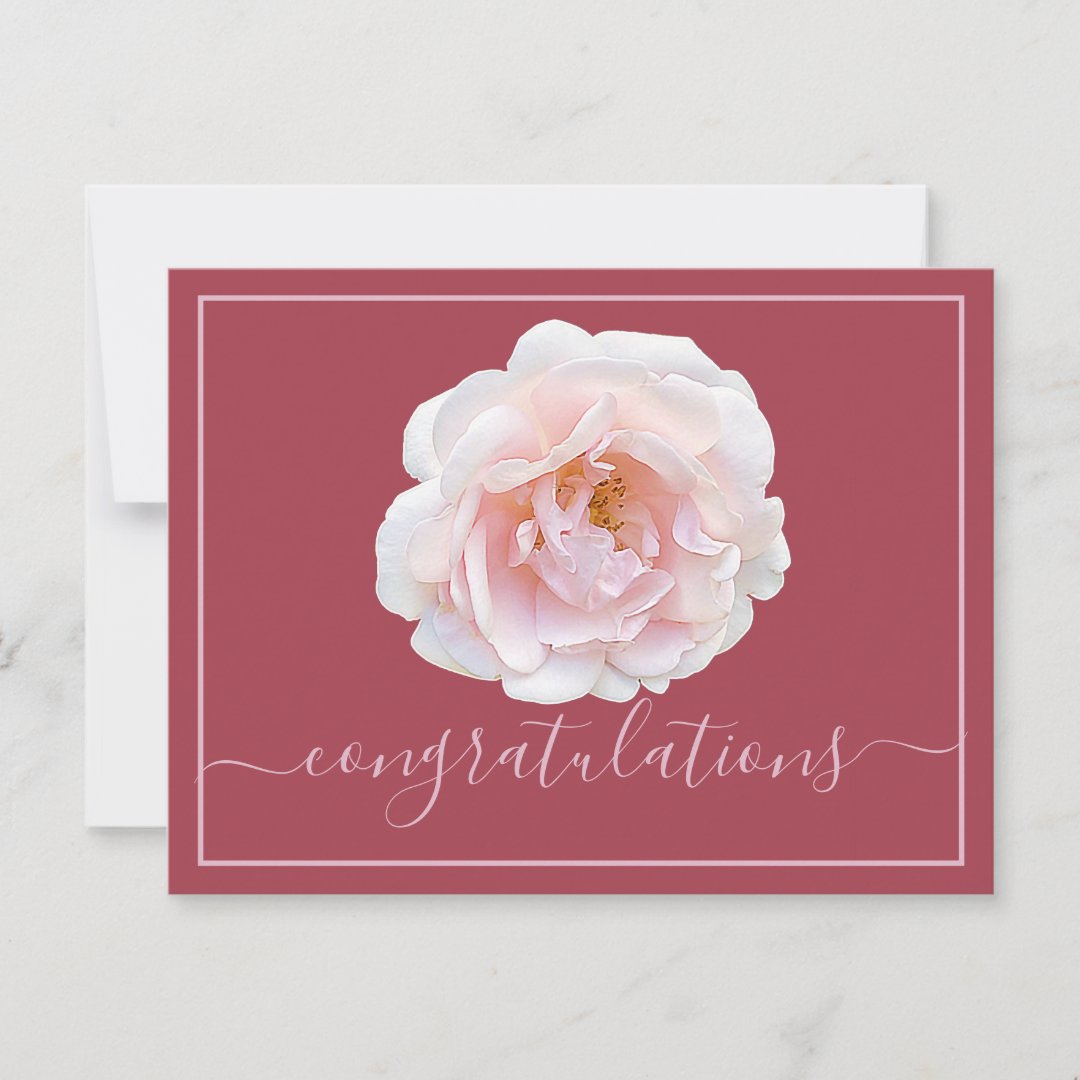 Pink Rose Pink Background Congratulations Postcard | Zazzle