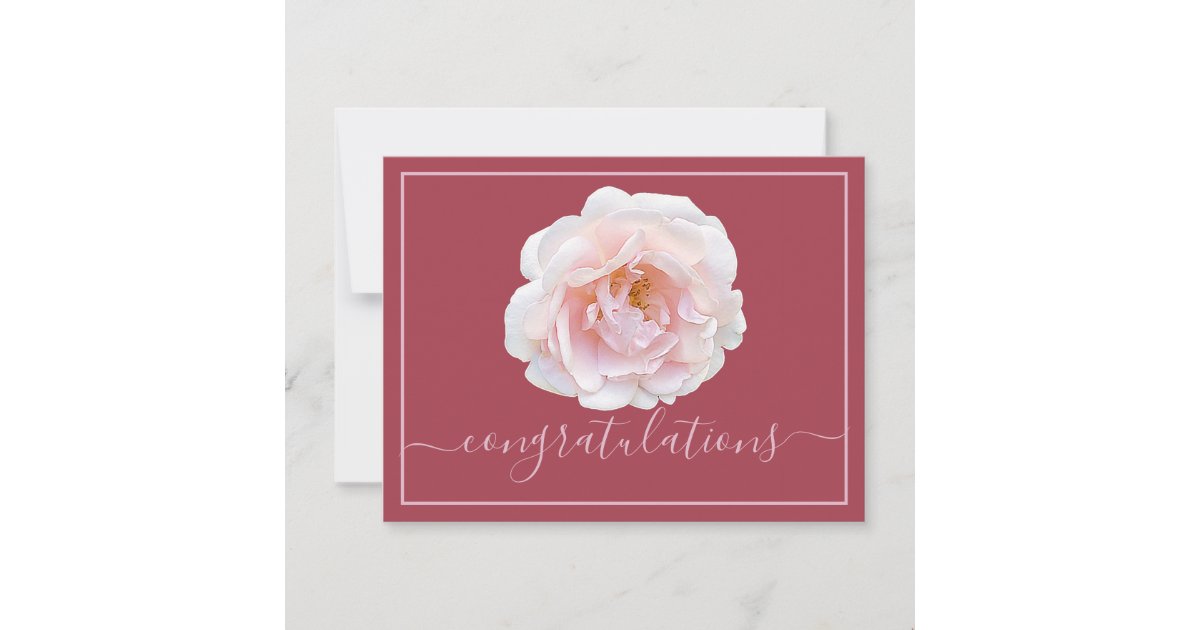 Pink Rose Pink Background Congratulations Postcard | Zazzle