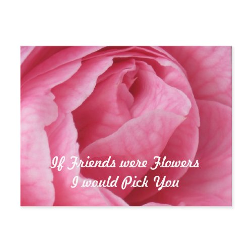 Pink Roses Quotes. QuotesGram