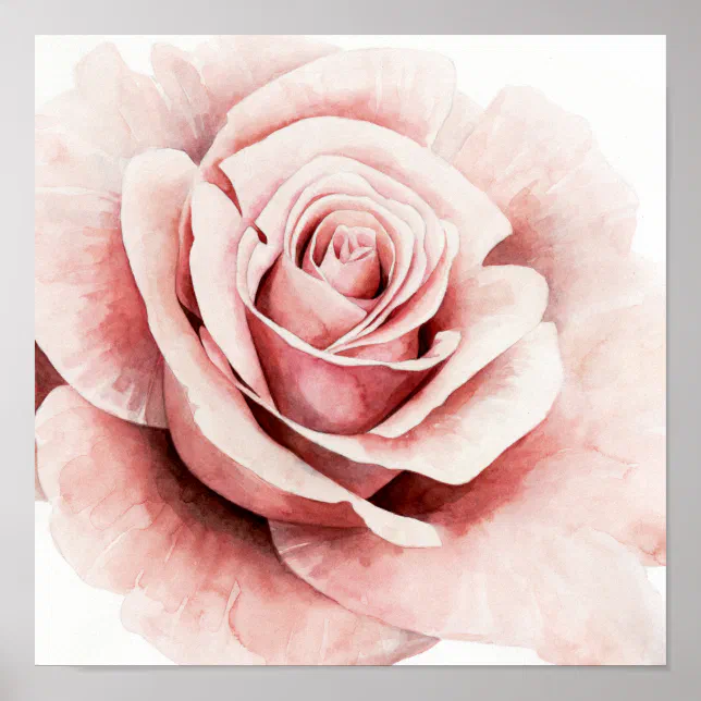 Pink Rose Poster | Zazzle