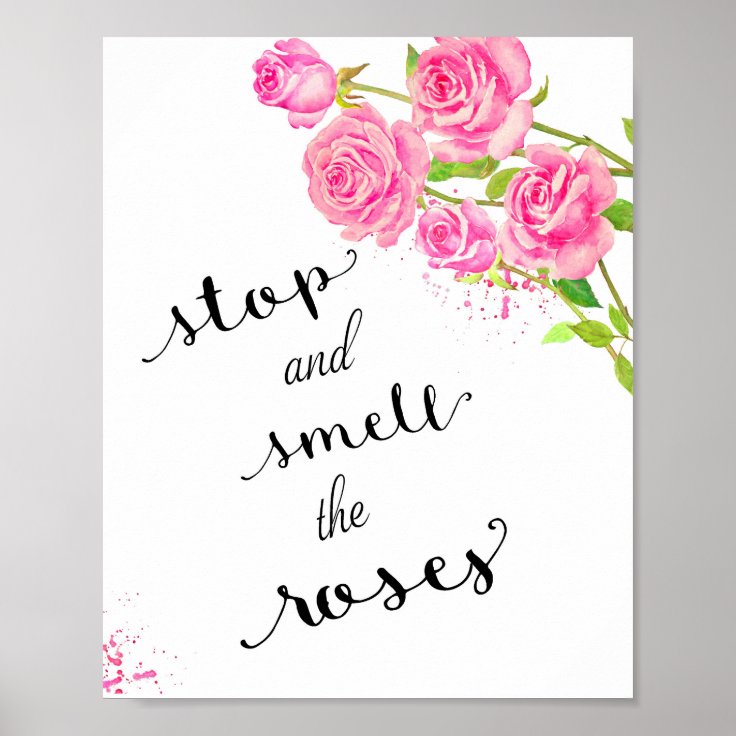 Pink rose quote, stop and smell the roses poster | Zazzle
